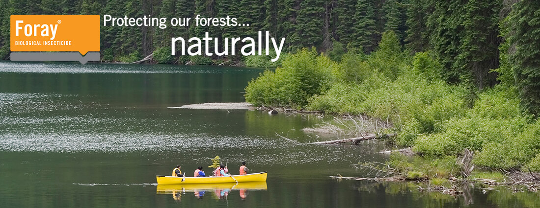 Foray® 48B – Valent BioSciences – Forest Health