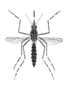 WALS® – Valent BioSciences – Public Health