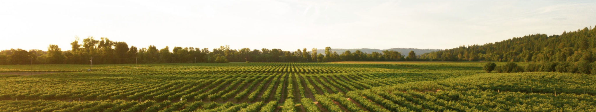 Biorationals | Valent BioSciences Agriculture