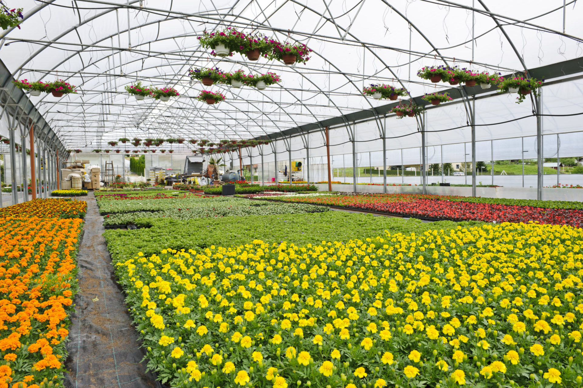 Gnatrol® Biological Larvicide | Valent BioSciences